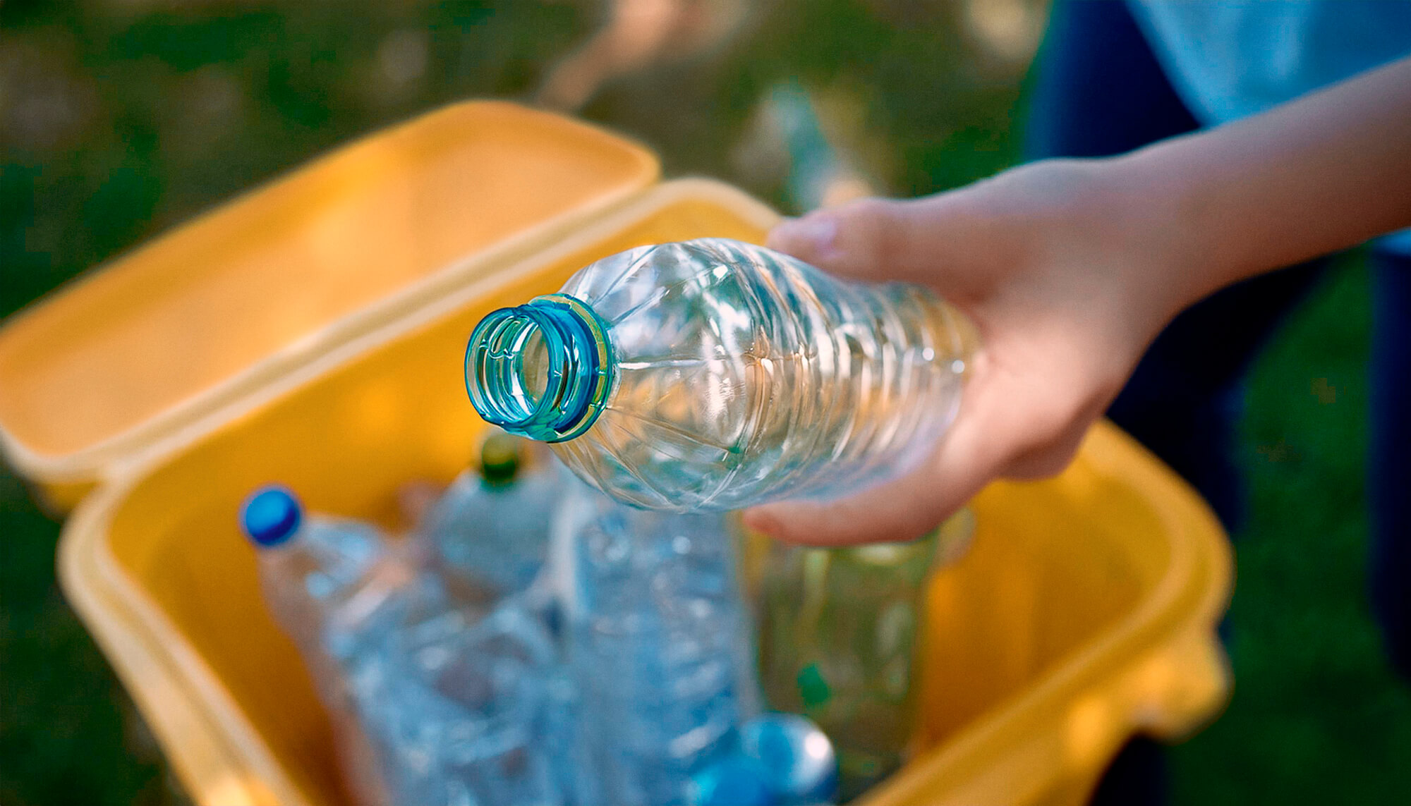 Releaf by Avantium » Brenda de Vries | Photography & Midjourney